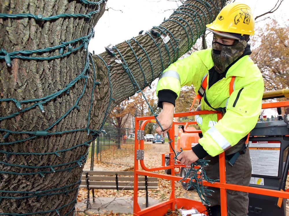 Jackson Park light display, premiering Dec. 8, will eventually move ...