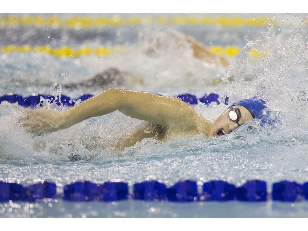 Local roundup: Area athletes grab 17 medals at OFSAA swimming | Windsor ...