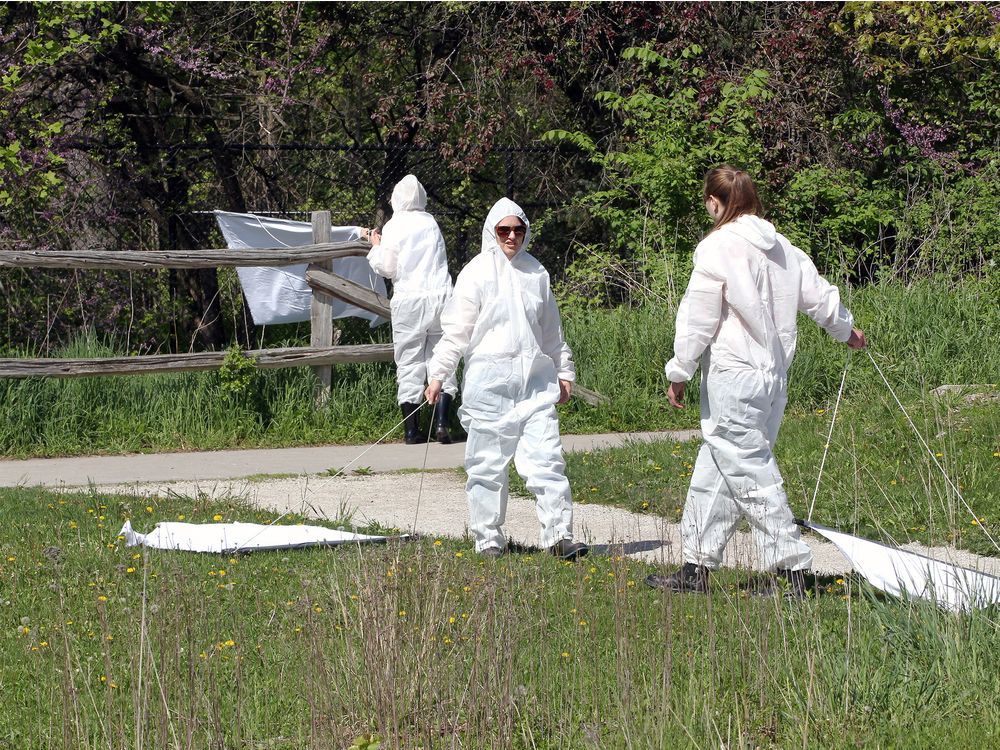 Tick surveillance | Windsor Star