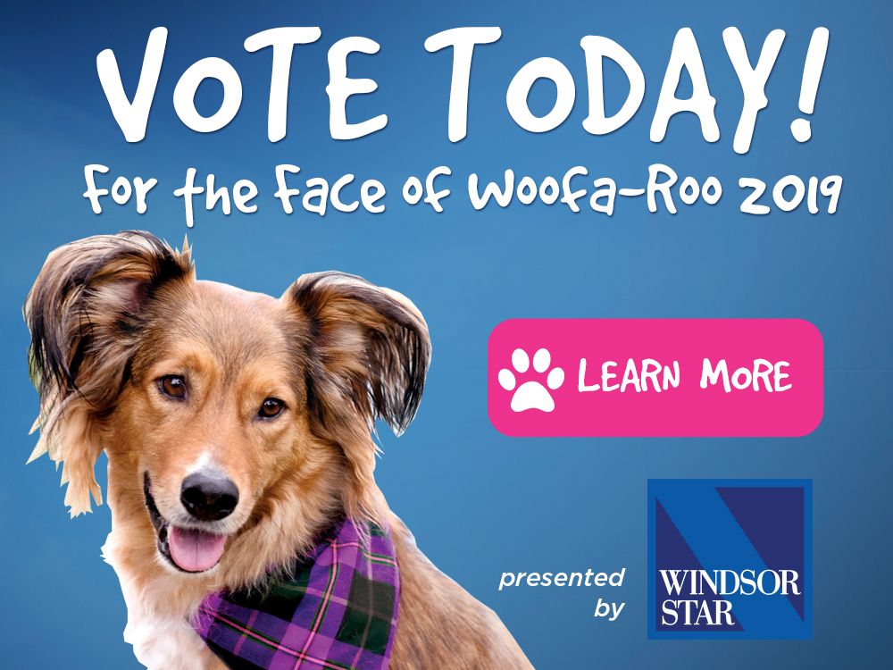 Time to Vote for the Face of Woofa-Roo. | Windsor Star
