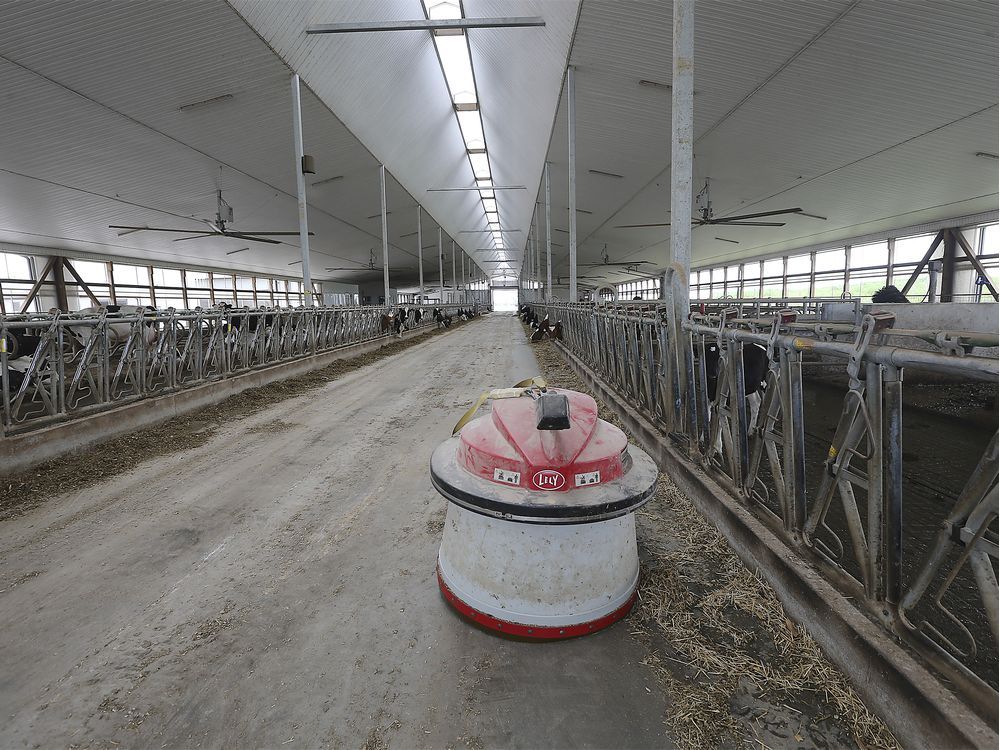 Jobin Farms rebuilds after $1M fire, invites public to free breakfast ...