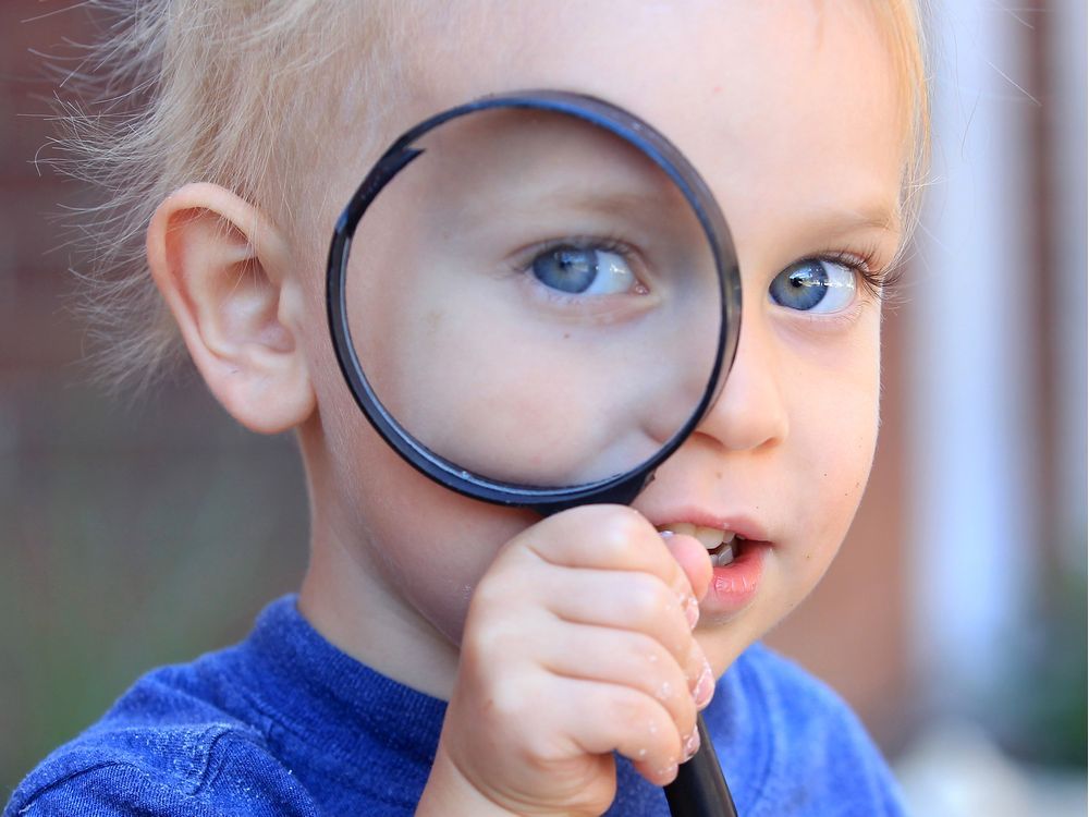 Photos: Non-profits create outdoor learning space for kids | Windsor Star