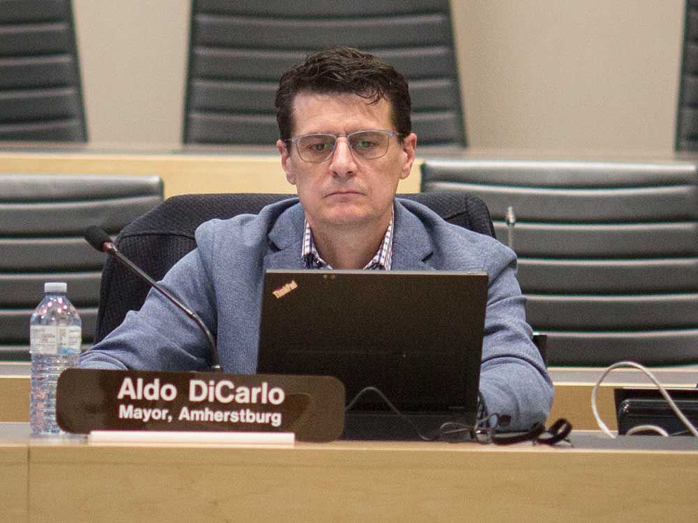 "I very much still love the job," says DiCarlo | Windsor Star