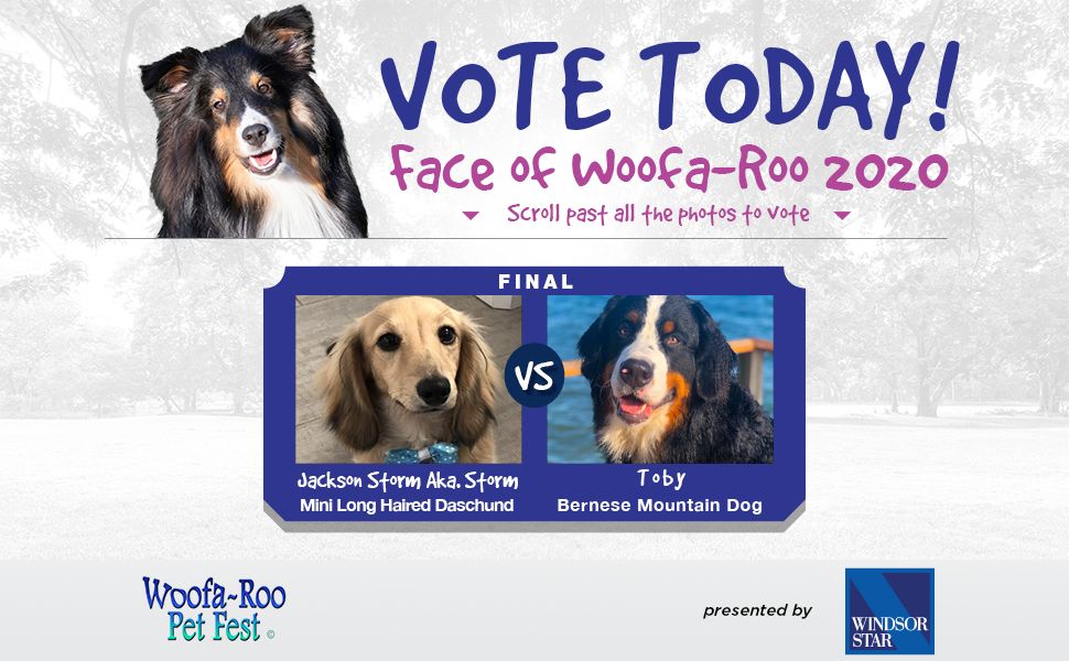 Vote for the Winner for the Face of Woofa-roo 2020 now! | Windsor Star