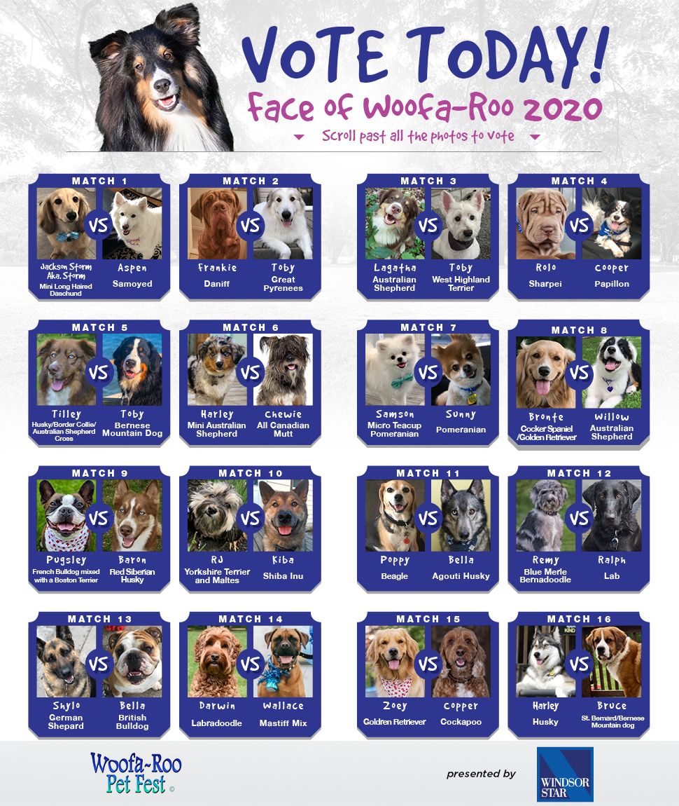 Vote for the Face of Woofa-roo 2020 now! Round 1 is open. | Windsor Star