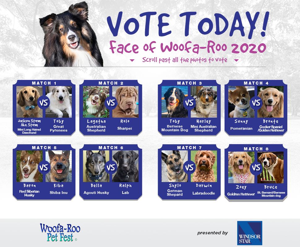 Round 2 Woofa-roo is now Open! | Windsor Star