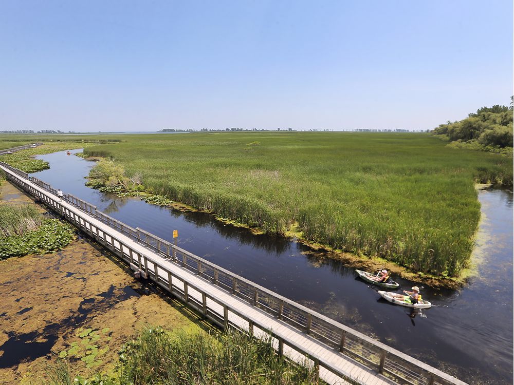$9.9M for Point Pelee National Park upgrades | Windsor Star