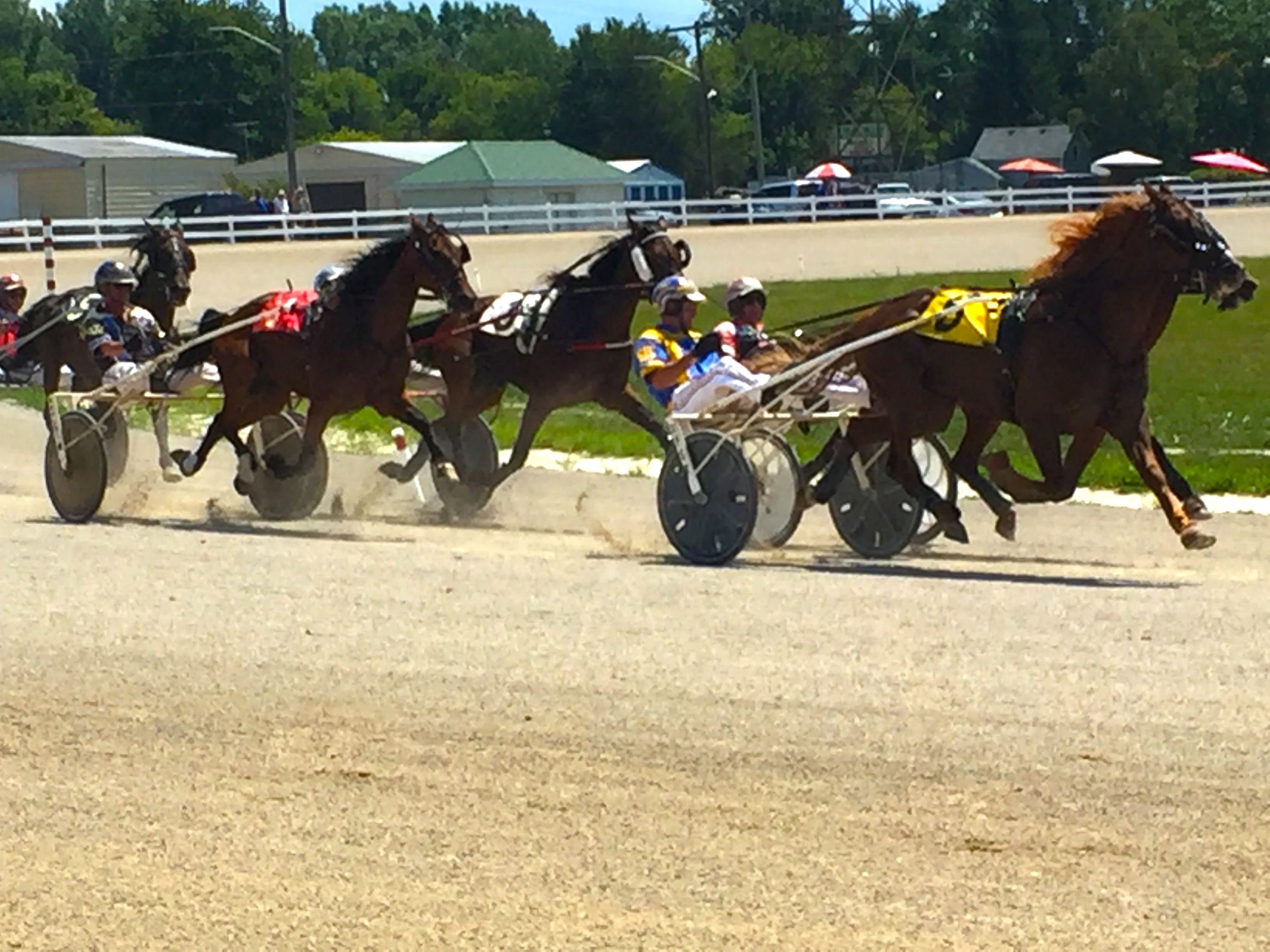 Leamington Raceway opens for the season to large crowds | Windsor Star