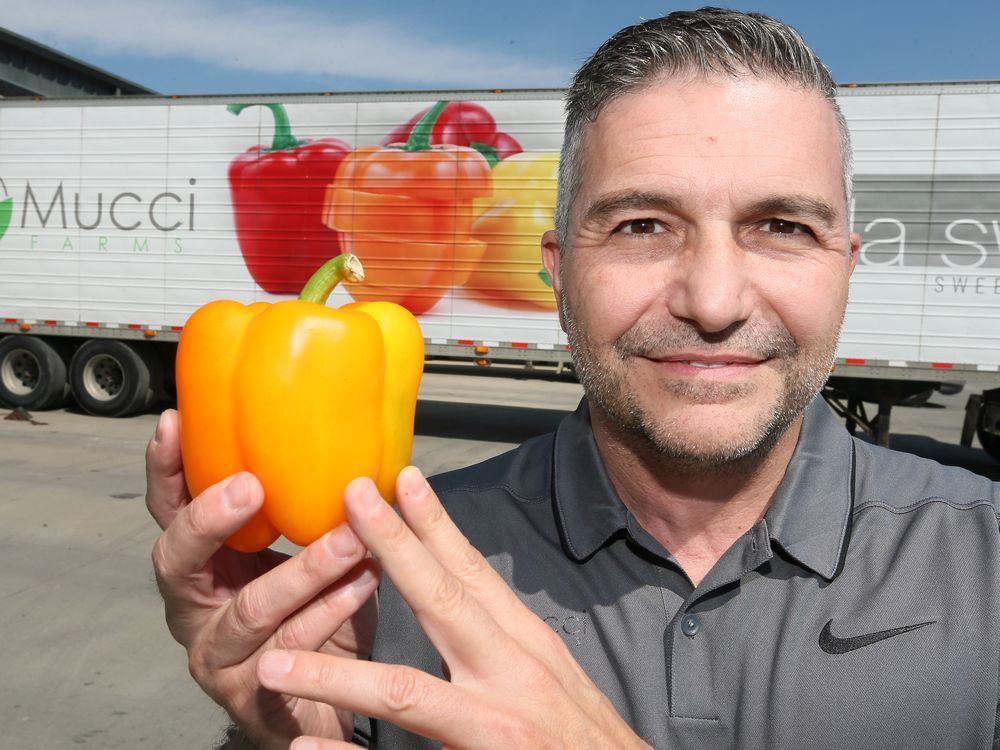 'It's a great time for Mucci Farms,' as firm announces major purchase ...