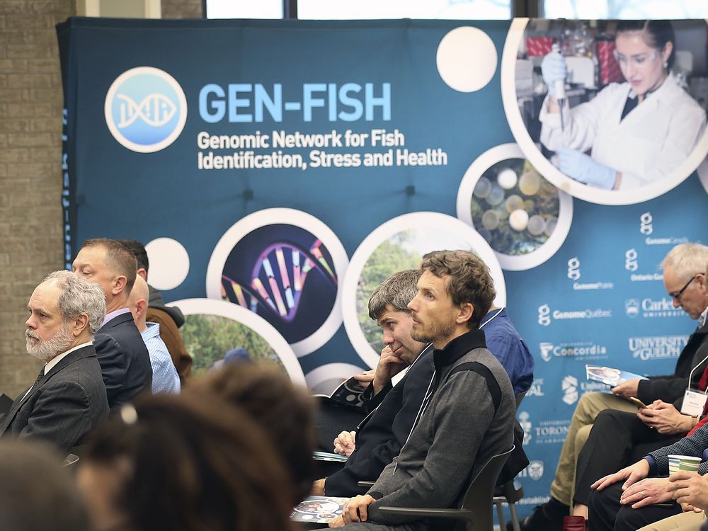 'Game changer:' Largest DNA survey of fish launched at UWindsor ...