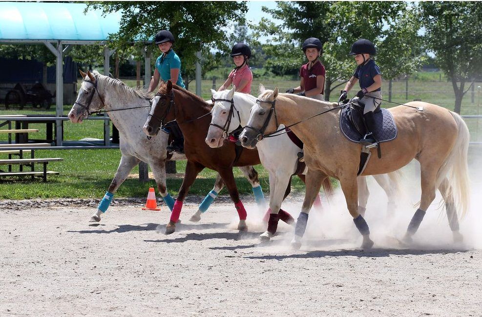 Lazee G Ranch hosts one-day drive-thru farm tour | Windsor Star