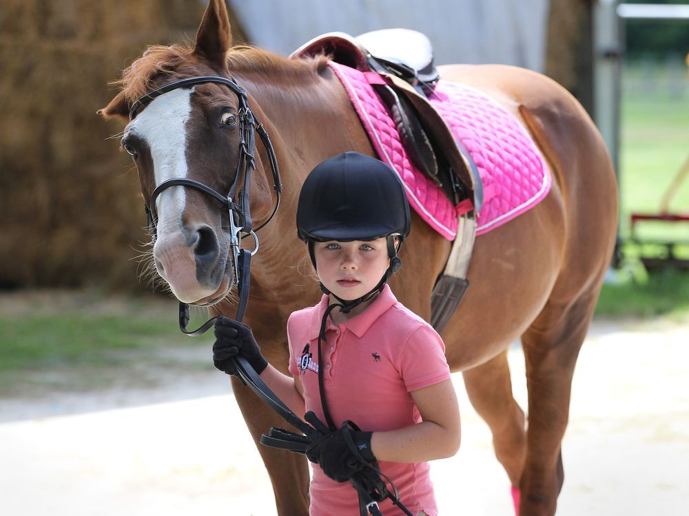 Lazee G Ranch hosts one-day drive-thru farm tour | Windsor Star