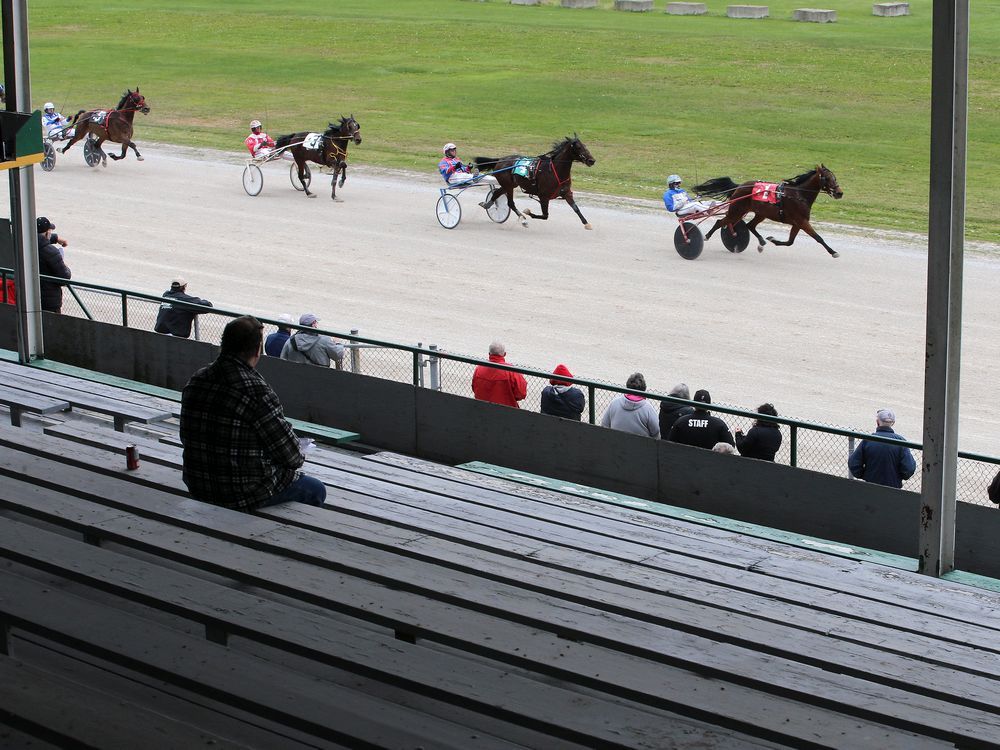 Photos: A day at the races in Leamington | Windsor Star