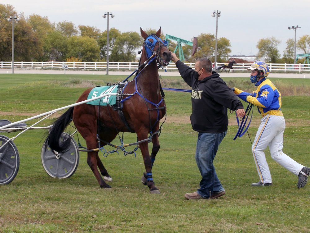 Photos: A day at the races in Leamington | Windsor Star