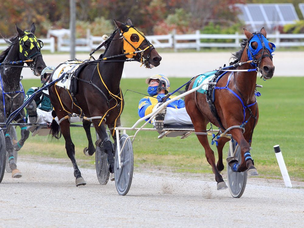 Photos: A day at the races in Leamington | Windsor Star