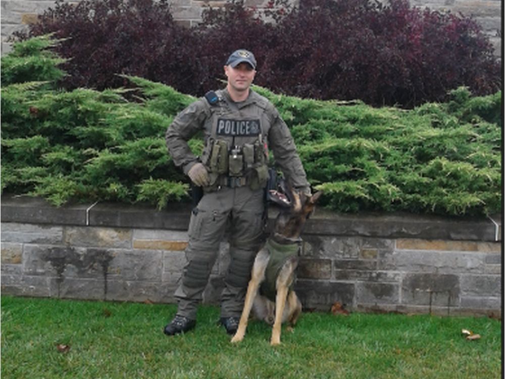 OPP K9 Maximus celebrates 100 captures | Windsor Star