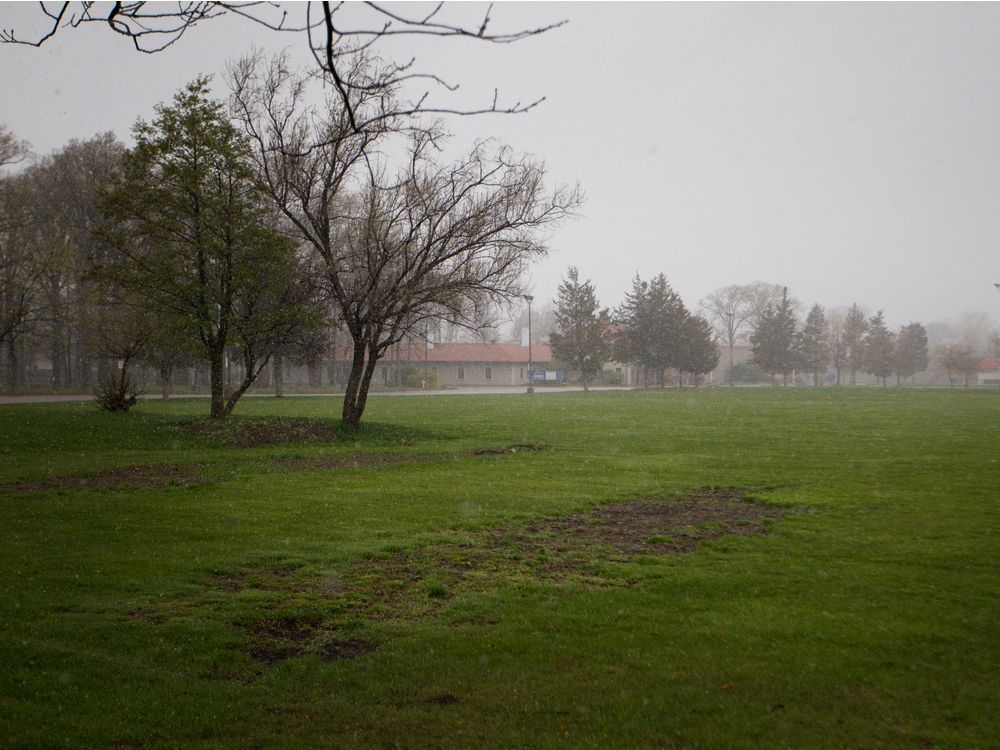 Fogolar Furlan selling 10 acres of land after COVID-19 fallout ...