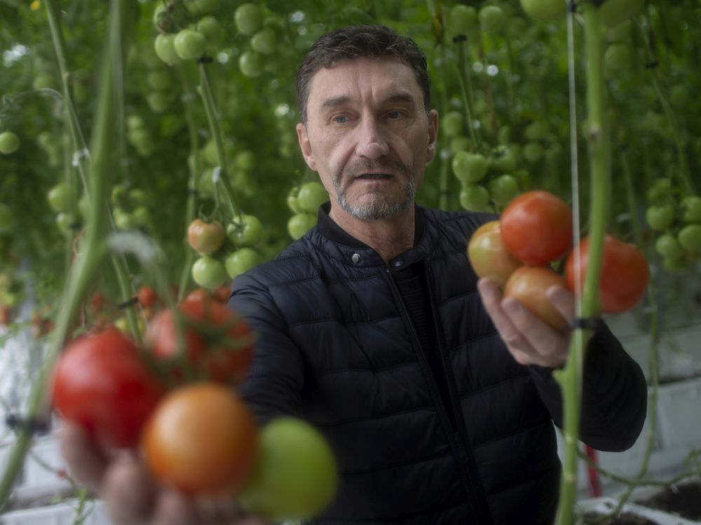 Local study to look at how e-trucks might supply future electricity ...