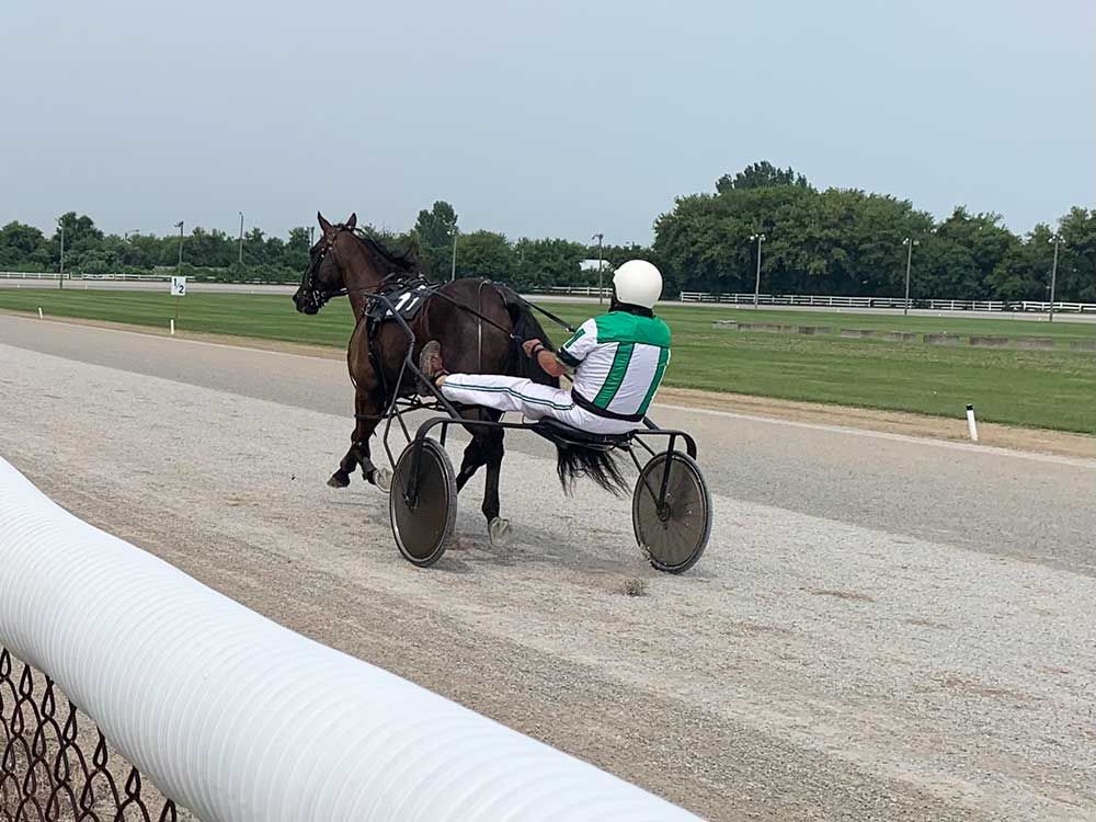 Leamington Raceway welcomes crowd for start of harness racing season ...