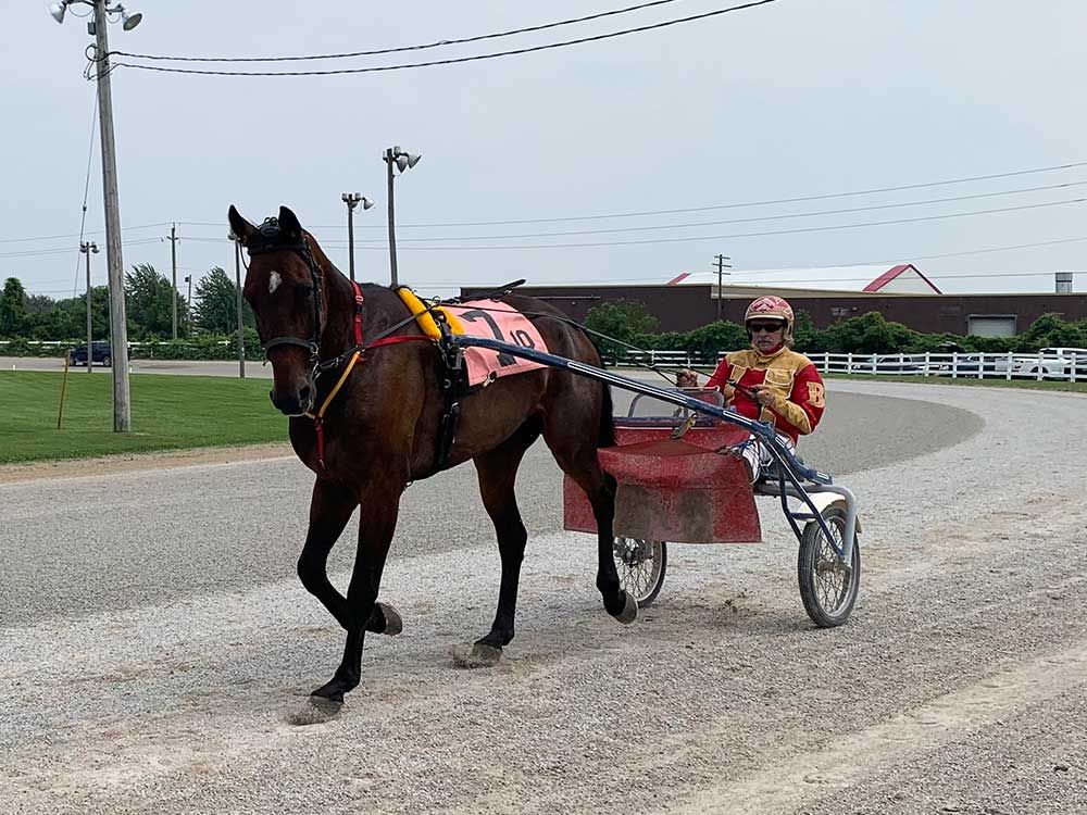 Leamington Raceway welcomes crowd for start of harness racing season ...