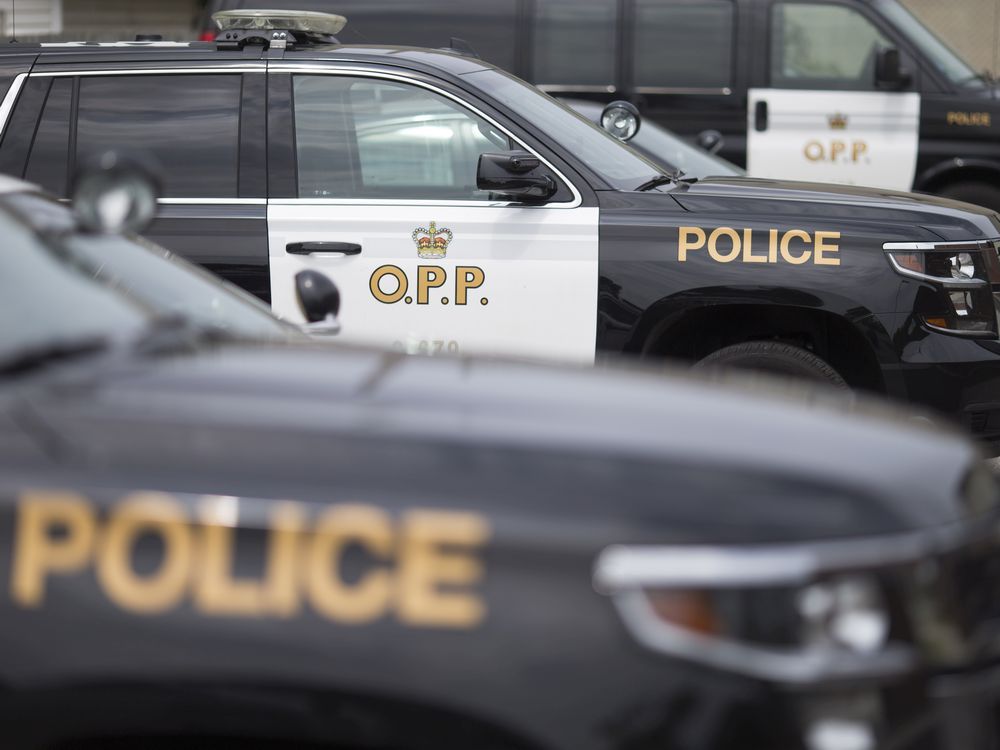 OPP arrest Tecumseh resident following rash of vehicle, property thefts ...