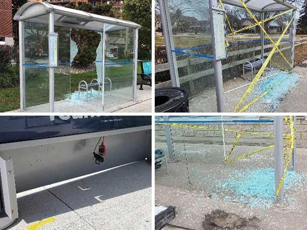 Windsor police seek to end bus shelter vandalism | Windsor Star
