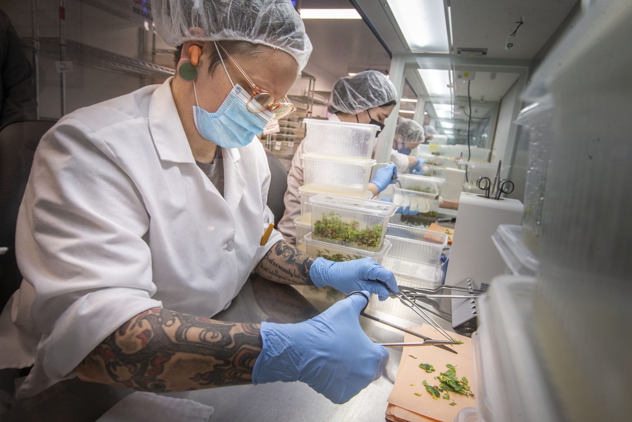 Harrow fruit tree nursery a technological leader in North America ...