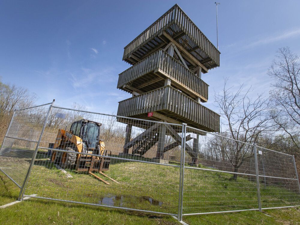 Holiday Beach hawk tower closed for upgrades | Windsor Star