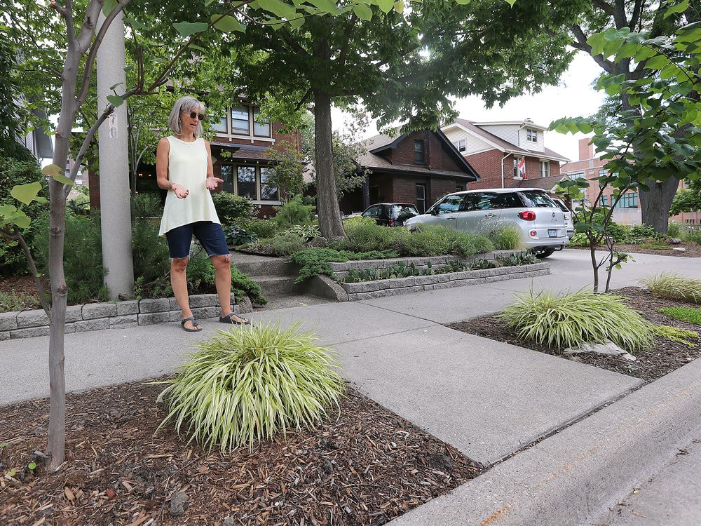 Sidewalk gardeners protest city destruction orders | Windsor Star