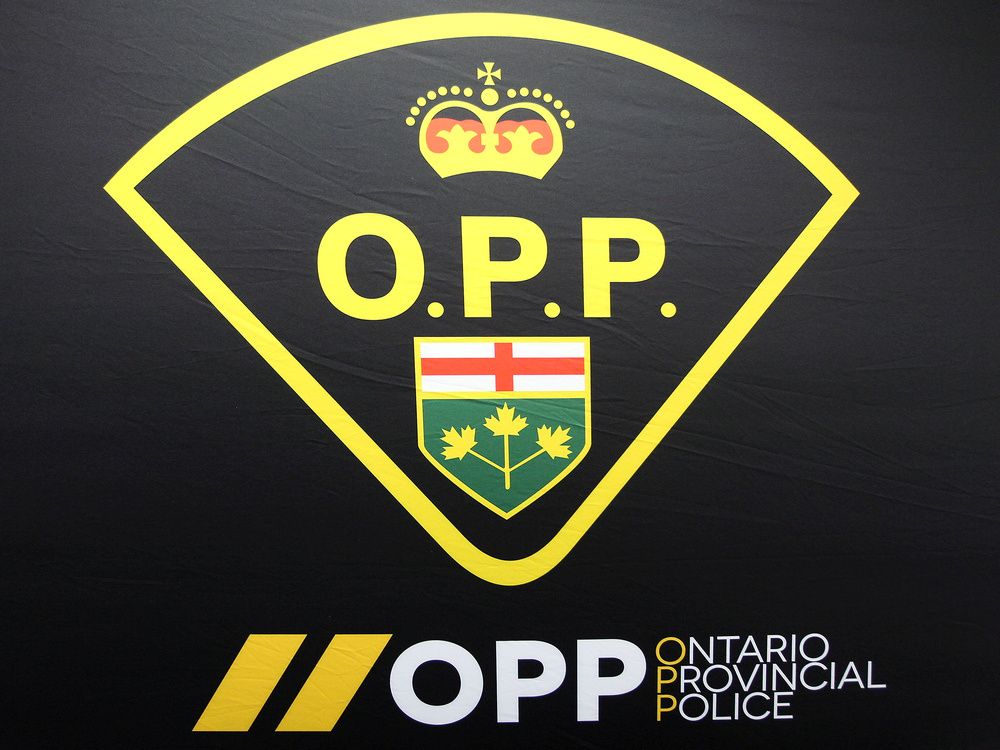 OPP charge two men with impaired driving | Windsor Star