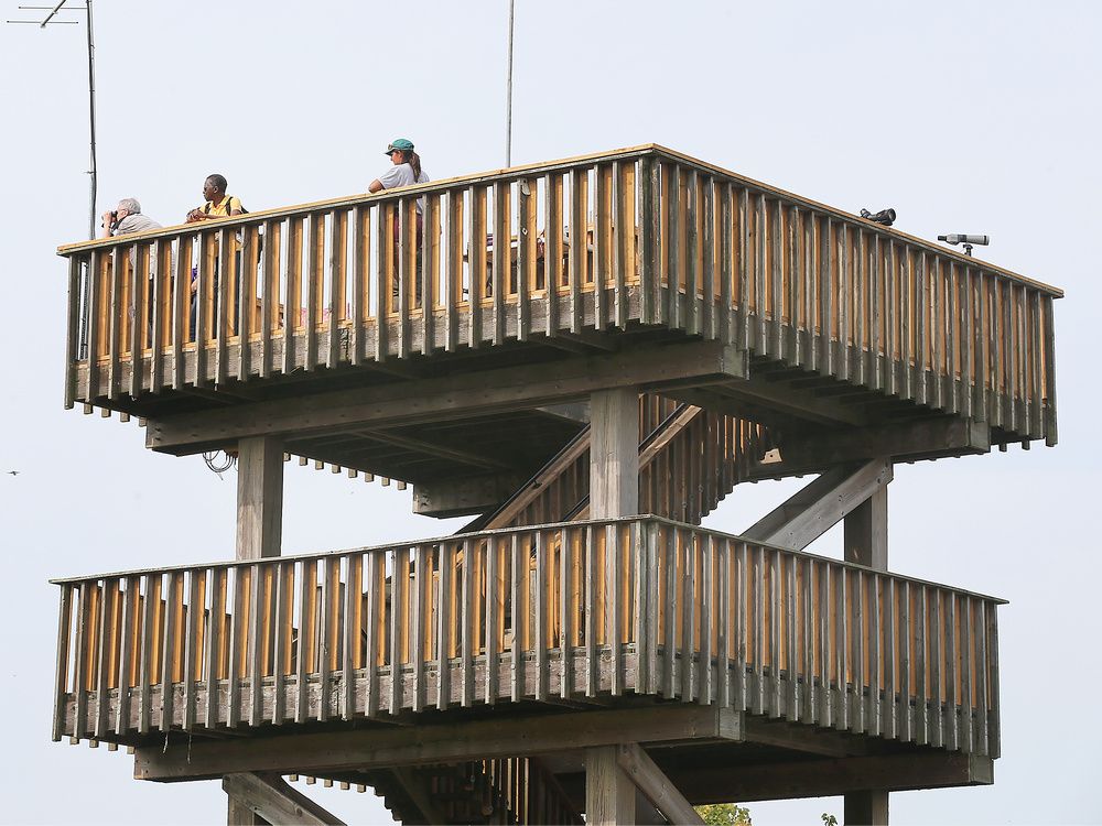 Upgraded hawk tower, trail improvements unveiled at Holiday Beach ...