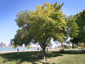 Special events begin in Windsor to honour Queen Elizabeth II | Windsor Star