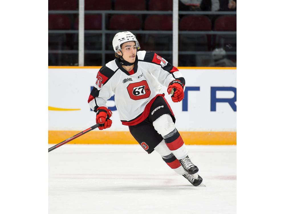 Spitfires add veteran forward Johnston in deal with 67's | Ottawa Citizen Spitfires add veteran forward Johnston in deal with 67's | Ottawa Citizen