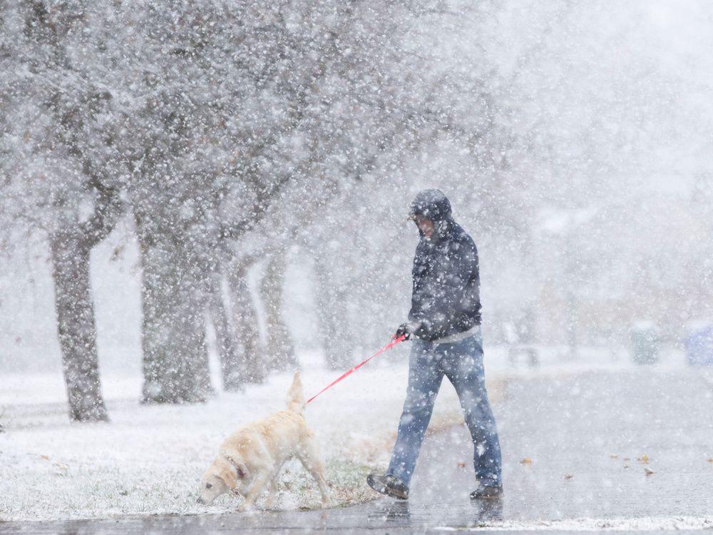 Windsor area sees some extended snowfall | Windsor Star