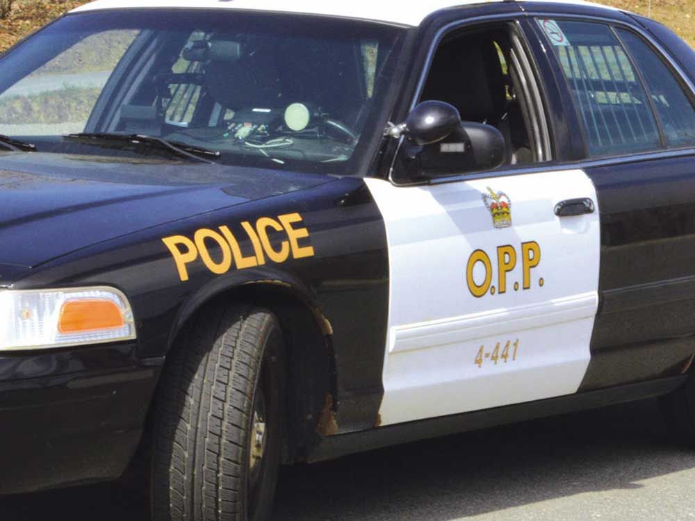 OPP interrupt break-and-enter incident in Kingsville | Windsor Star