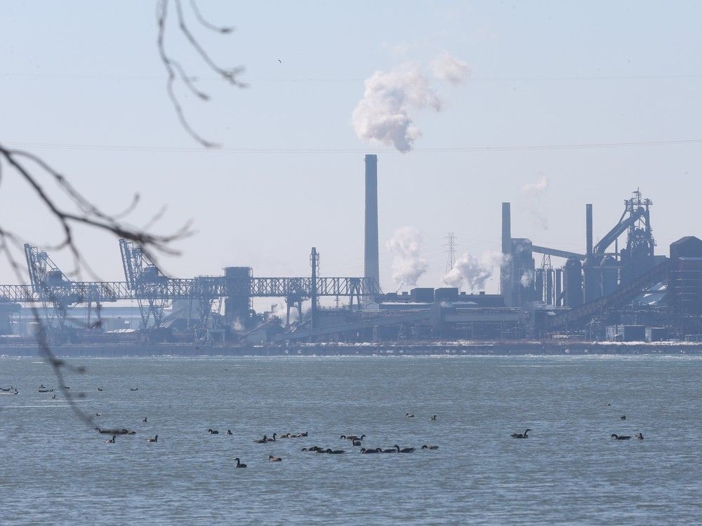 Scientists warn of 'urgency' to clean up Detroit River toxic sediment ...