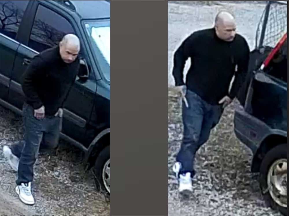 Windsor police seek licence plate thief | Windsor Star