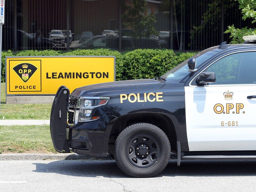 OPP arrest three in Leamington for drugs, weapons possession | Windsor Star