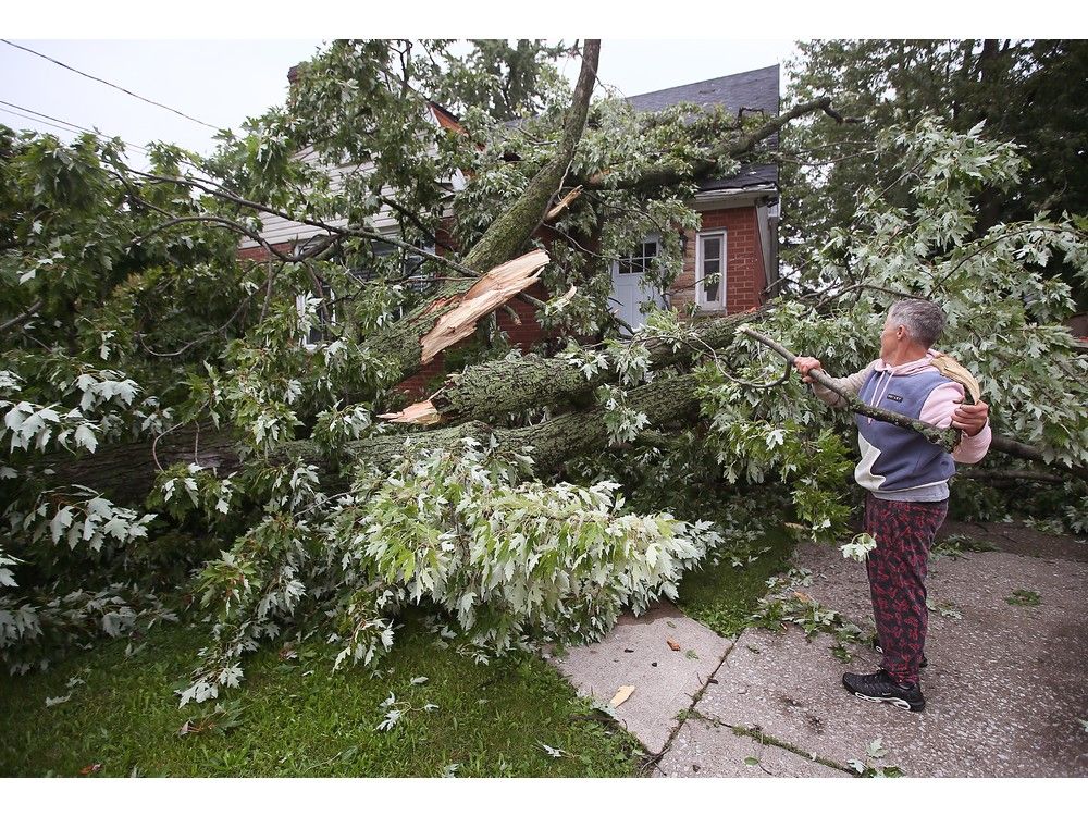 Windsor, Essex County pounded by intense storm again | Windsor Star