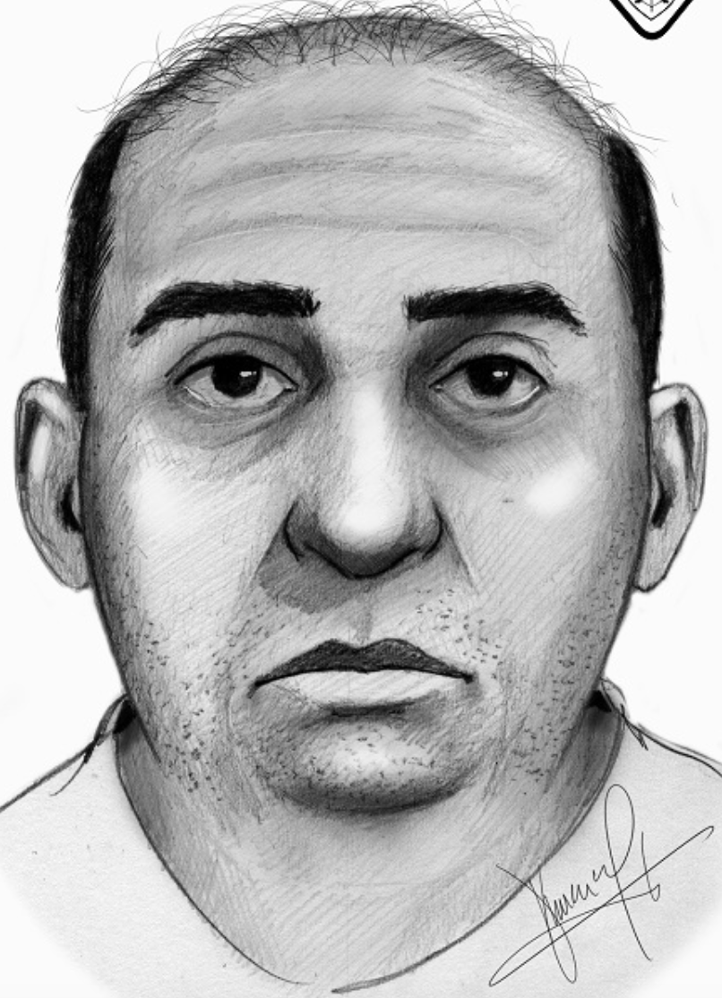 Lakeshore OPP seeks suspect for indecent act | Windsor Star