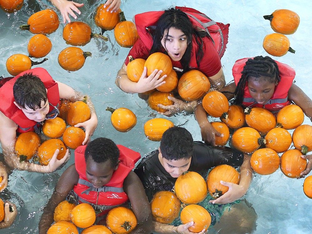 Pumpkin Splash returns to Adventure Bay in downtown Windsor | Windsor Star