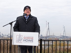 Drew Dilkens on Malden Park viewing platform