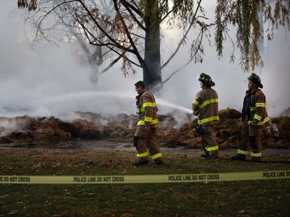 Fire destroys straw maze in Jackson Park | Windsor Star