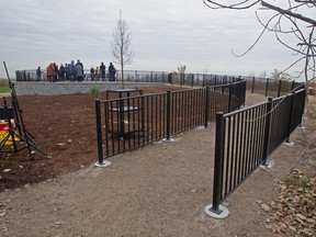 Malden park viewing platform