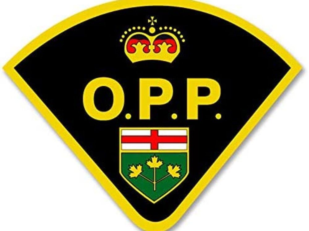 OPP search for suspects following incidents in Leamington, Lakeshore ...