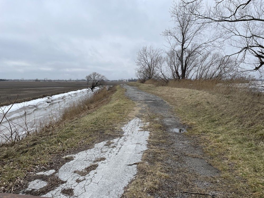 ERCA proposes rebuild of Leamington’s Hillman Marsh water barrier ...