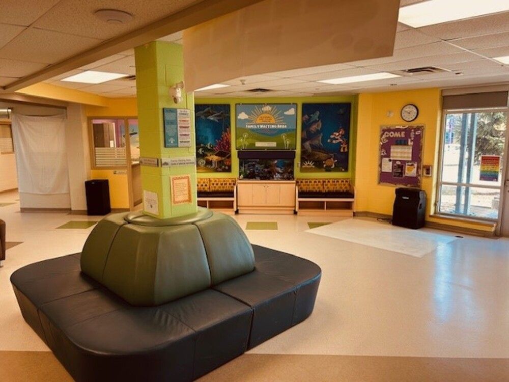 Stephanie and Barry Zekelman Foundation names new director | Windsor Star