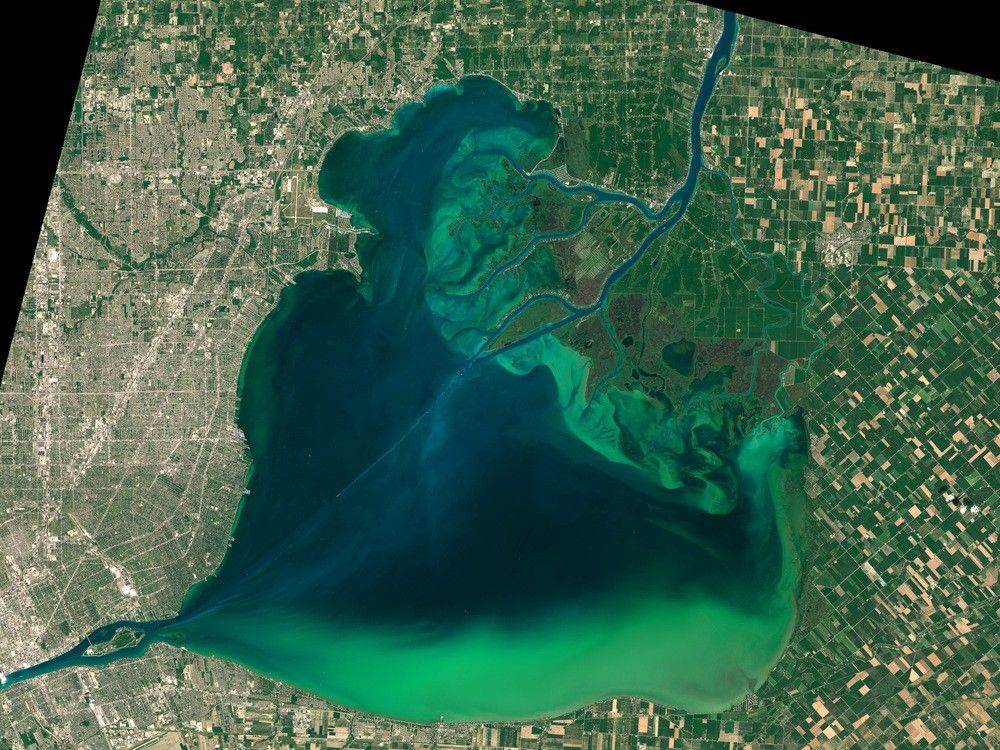 Blue-green algae bloom found in Lake St. Clair | Windsor Star