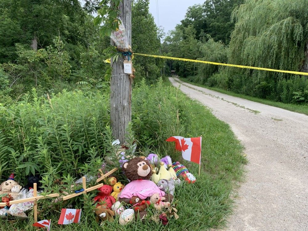 Harrow family deaths highlight need for more resources: experts ...