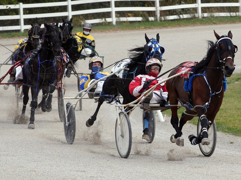 Leamington Raceway launching new harness horse racing season | Windsor Star